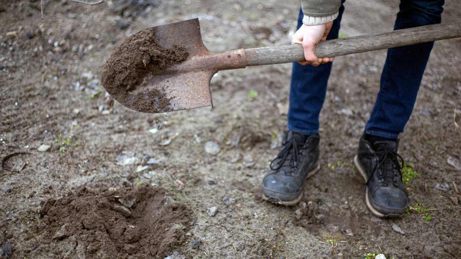 What To Do Before You Dig In NZ: Safety And Legal Guide