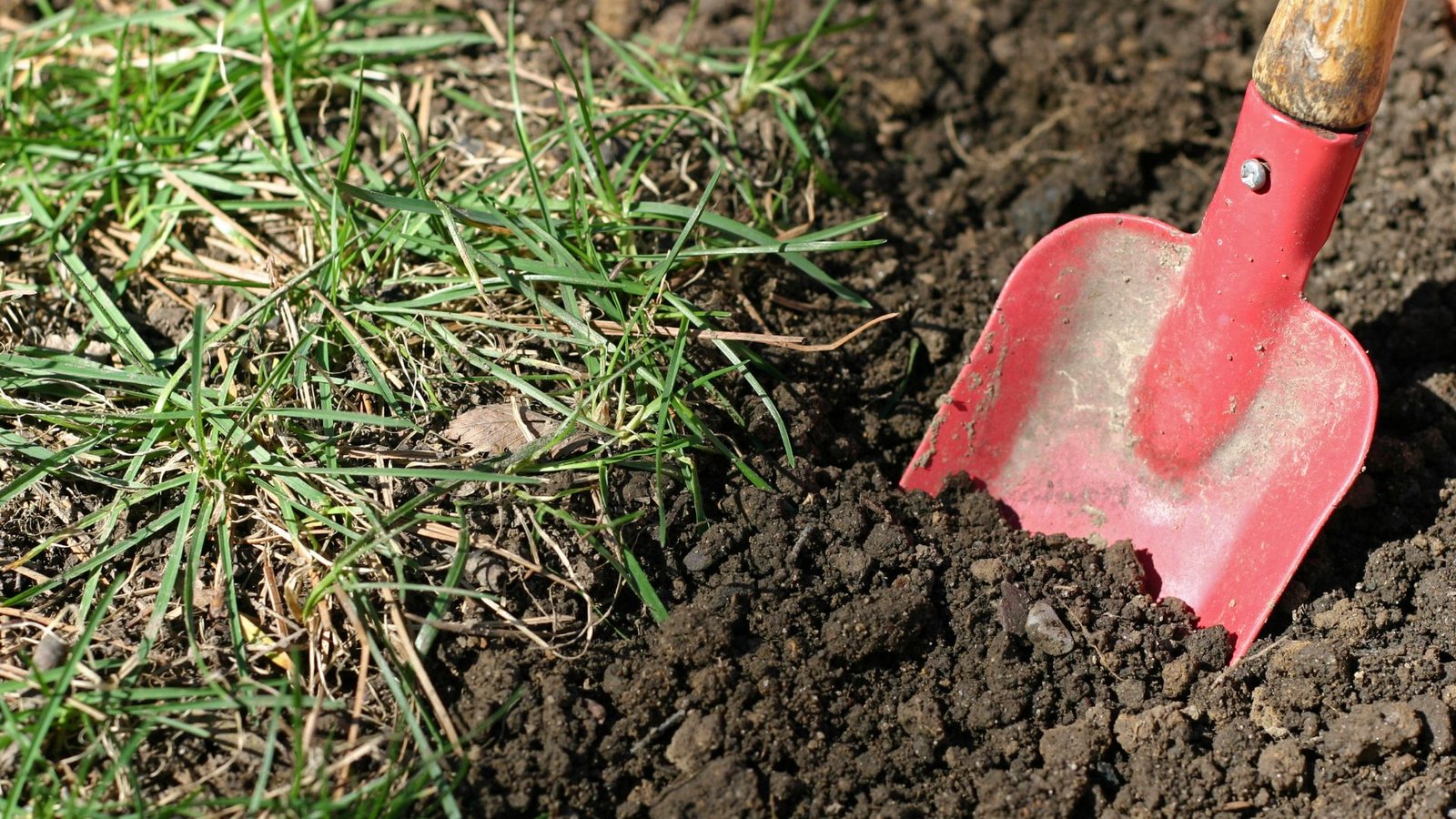 What To Do Before You Dig In NZ: Safety And Legal Guide