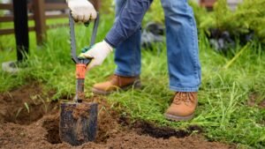 What To Do Before You Dig In NZ: Safety And Legal Guide