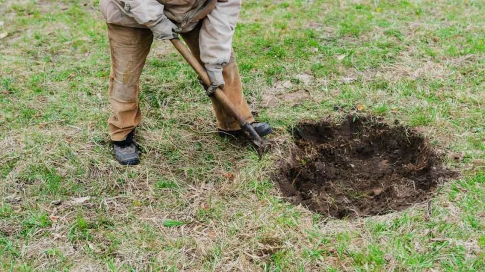 What To Do Before You Dig In NZ: Safety And Legal Guide
