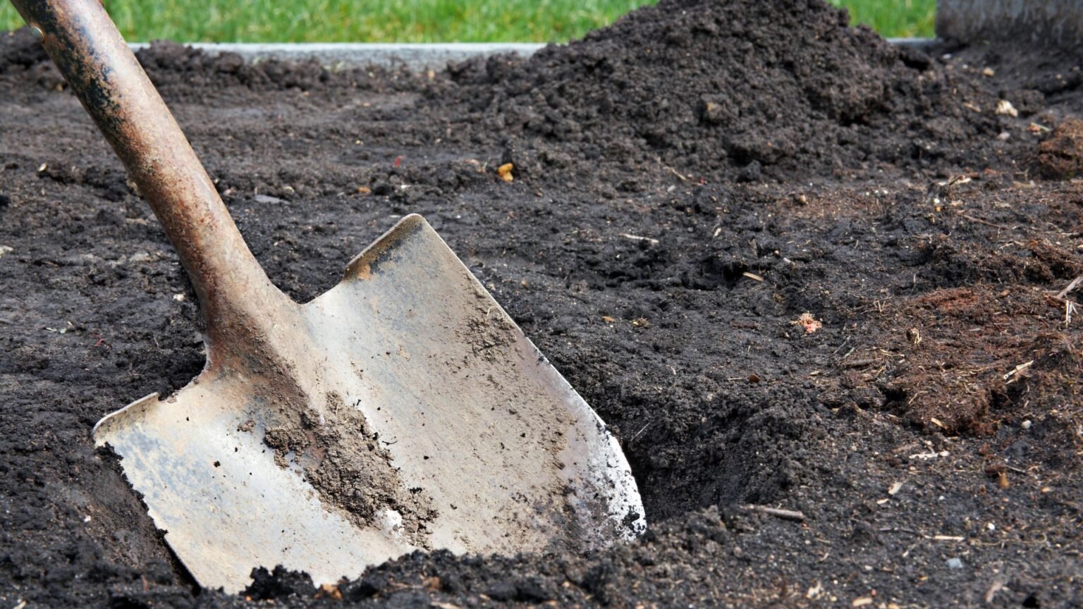 What To Do Before You Dig In NZ: Safety And Legal Guide