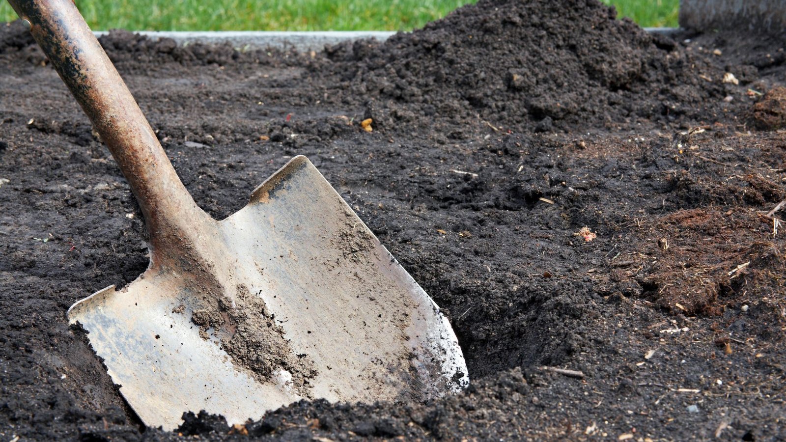 What To Do Before You Dig In NZ: Safety And Legal Guide