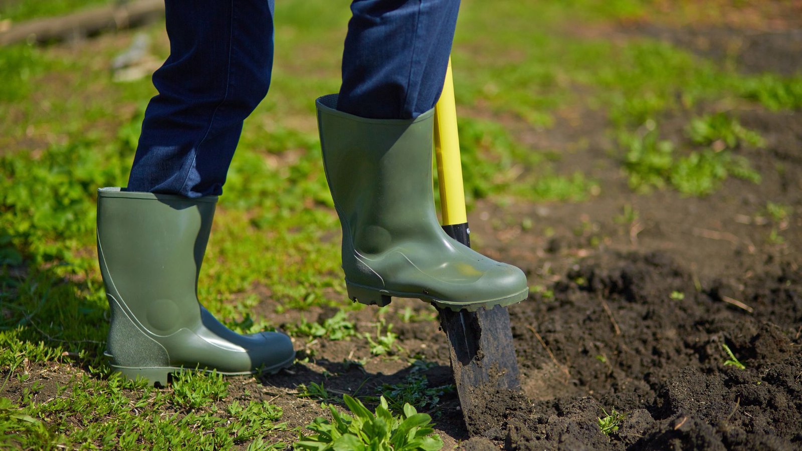 What To Do Before You Dig In NZ: Safety And Legal Guide