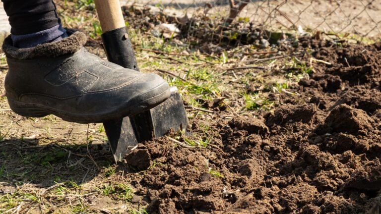 What To Do Before You Dig In NZ: Safety And Legal Guide